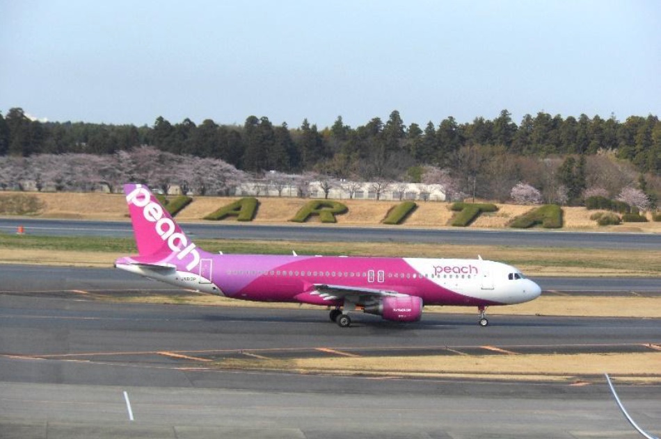ANA、LCCピーチを完全子会社化、全株式保有で、さらなる訪日客の取り込み強化へ｜トラベルボイス（観光産業ニュース）