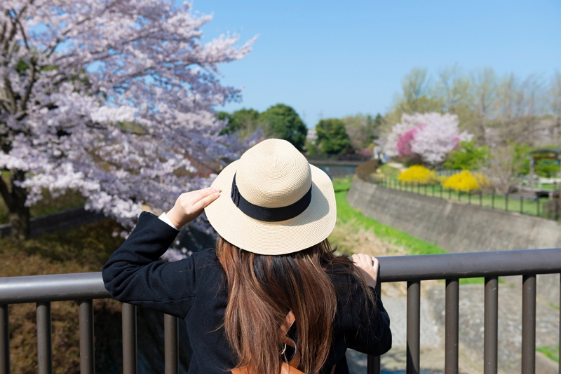 International arrivals in Japan were down 5.5% to 3.7 million in April ...