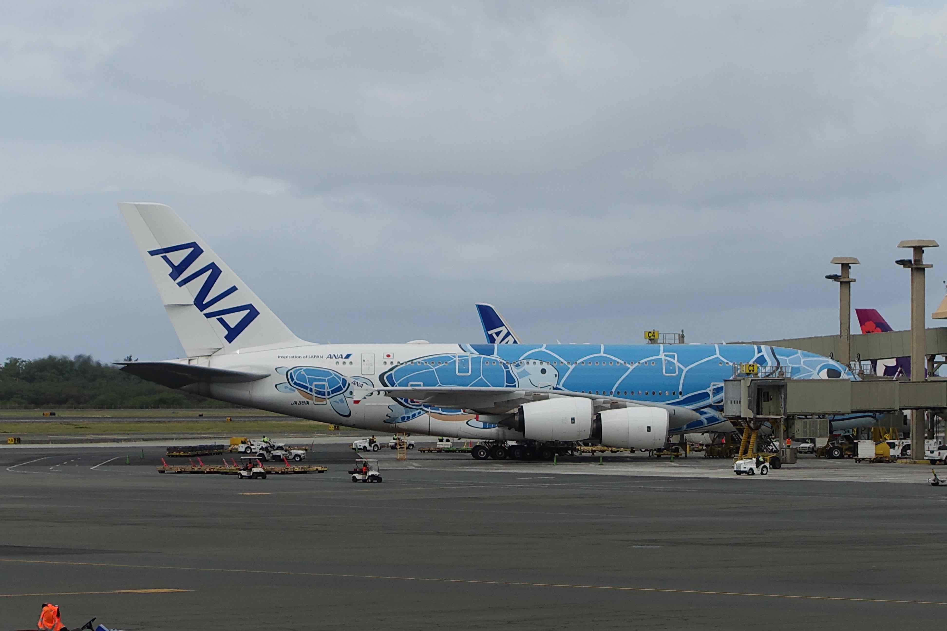 ハワイで存在感を増すANA、旅客数でGW期間はJAL抜き、マイル経済圏の拡張など現地の取り組みを取材した｜トラベルボイス（観光産業ニュース）