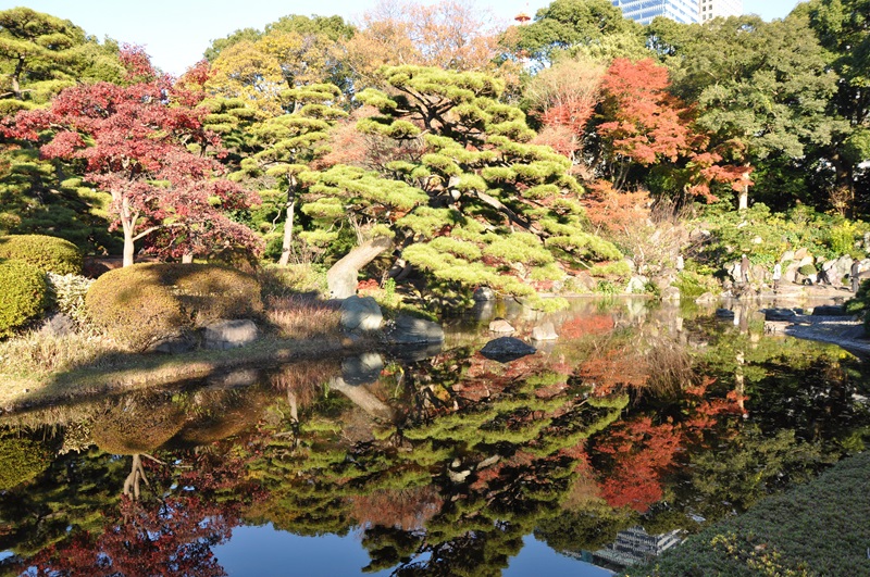 Outer garden of the Imperial Palace, the heart of Tokyo, is exclusively ...